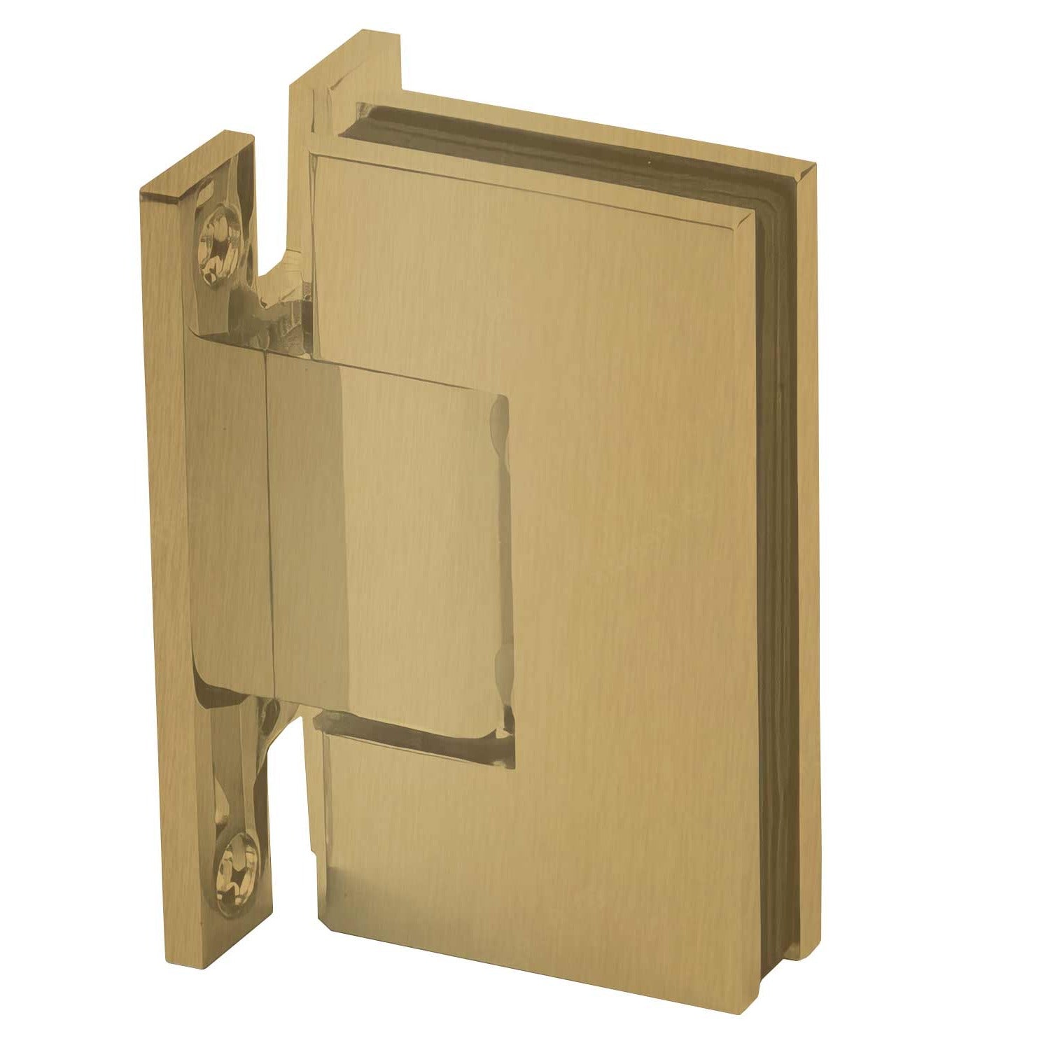 Legacy Series H-Plate Hinge – glazehardware